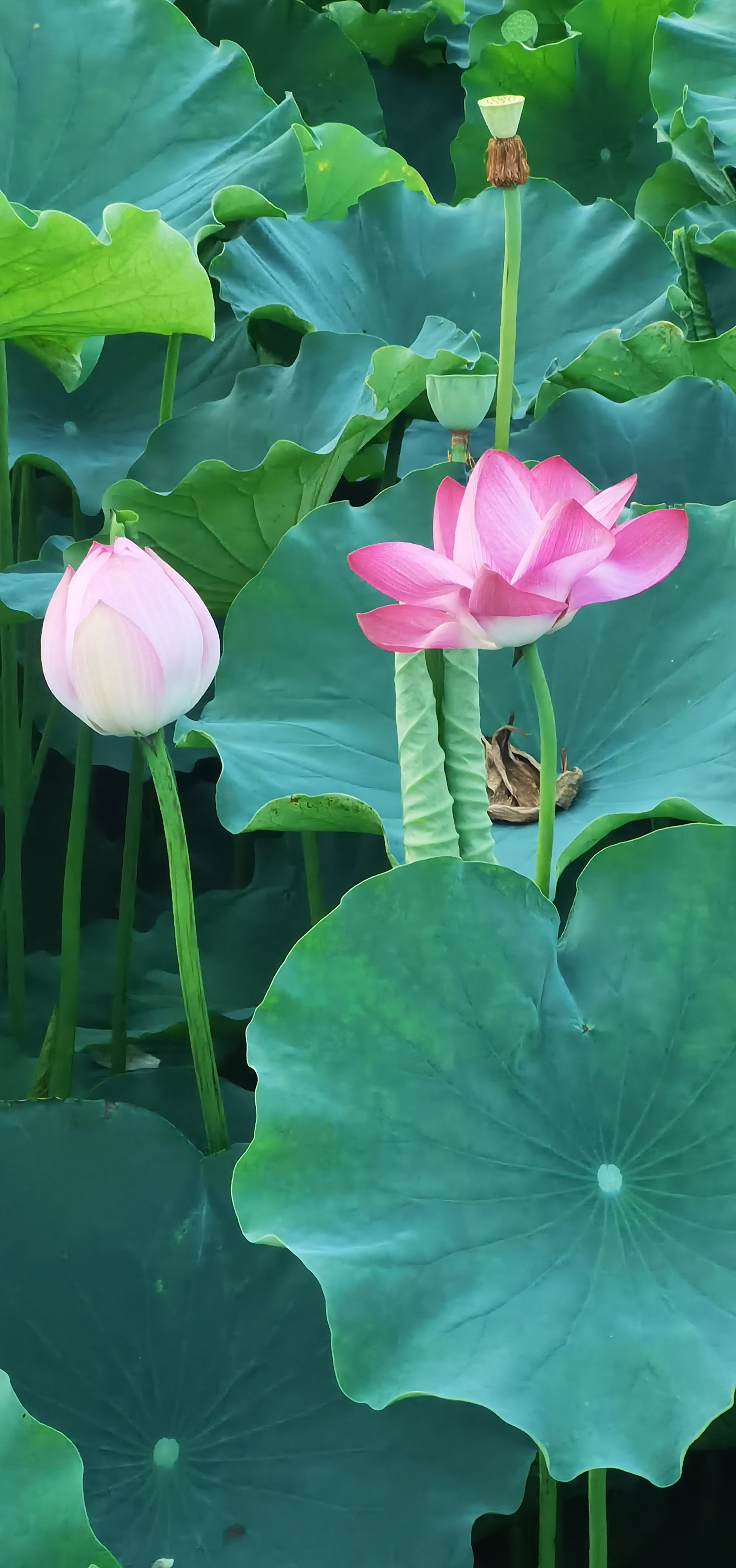 信邦制药(SZ002390)股吧-实时行情分析讨论-新浪财经